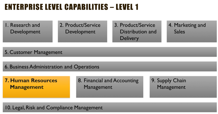 Business Capability Map Example - Modeling Business Capabilities