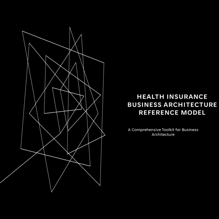 Health Insurance Business Architecture Reference Model – Capstera