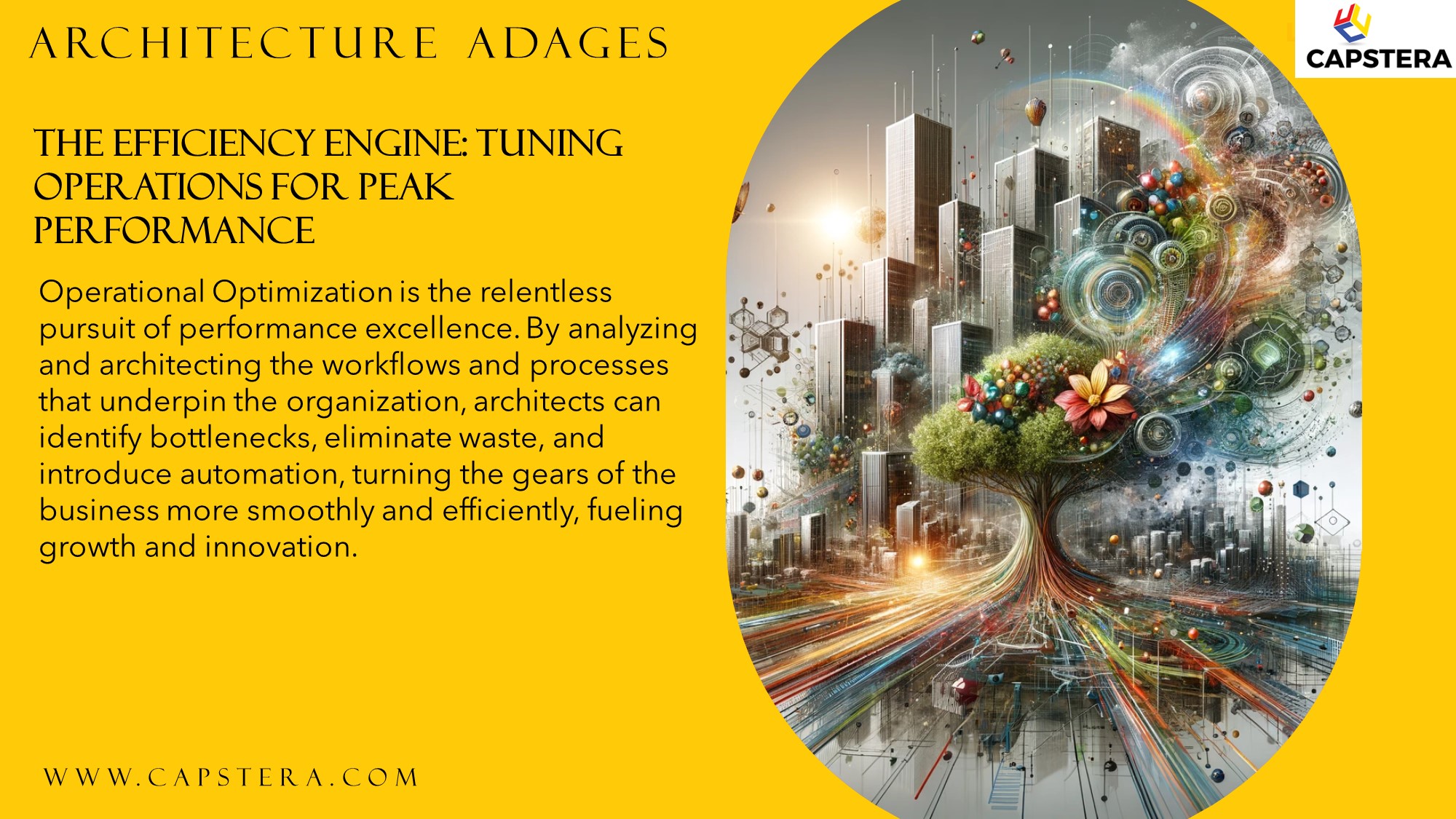 The Efficiency Engine: Tuning Operations for Peak Performance