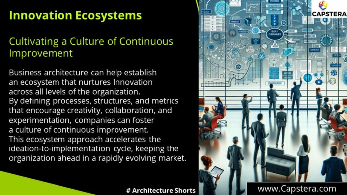 Innovation Ecosystems: Cultivating a Culture of Continuous Improvement